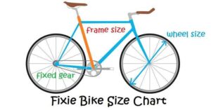 Fixie Bike Size Chart (Fixed Gear Bicycle Sizing Guide)